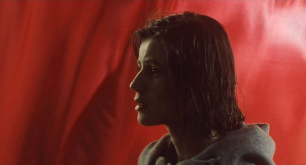 Three Colors: Red (1994) – Story / Telling